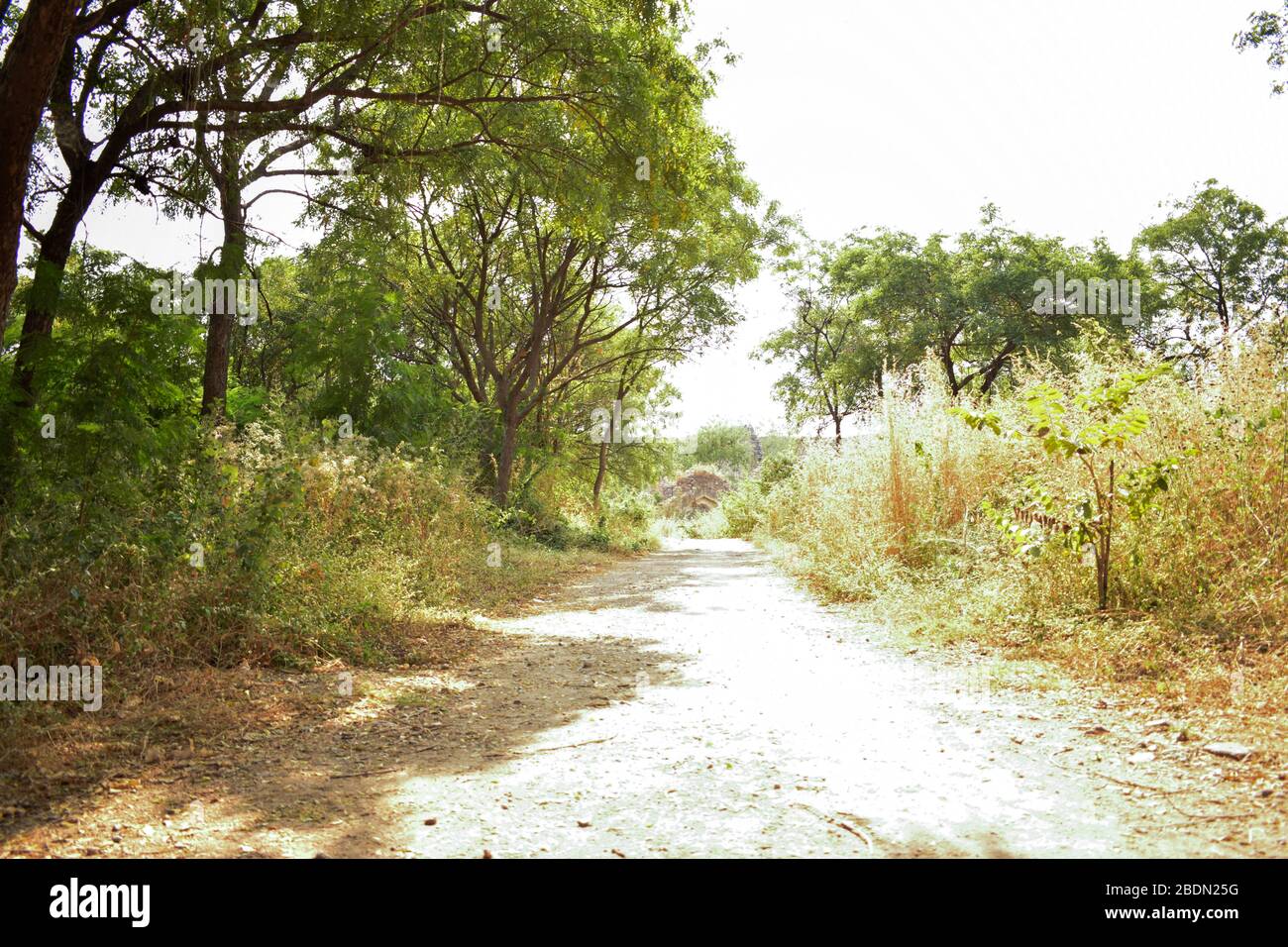 Pathway in Old Ancient Fort Background stock photograph image Stock ...