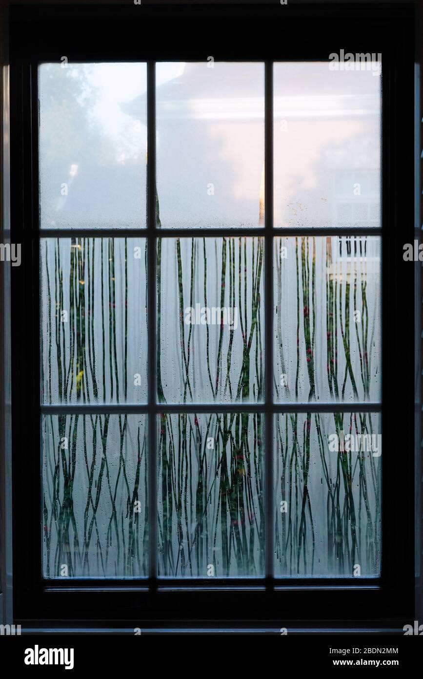 Tropical scene after rain hi-res stock photography and images - Alamy