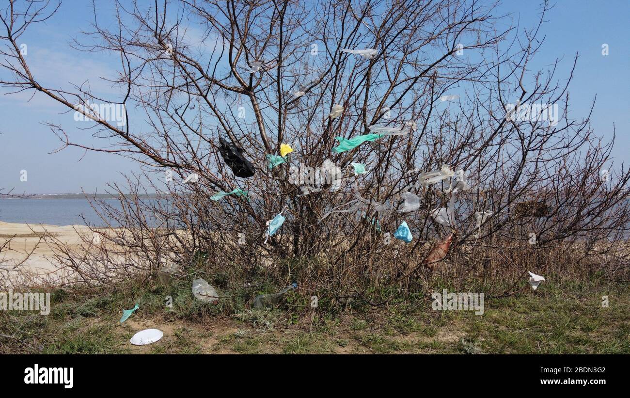 Face masks and plastic debris on branches of trees. Coronavirus (COVID ...