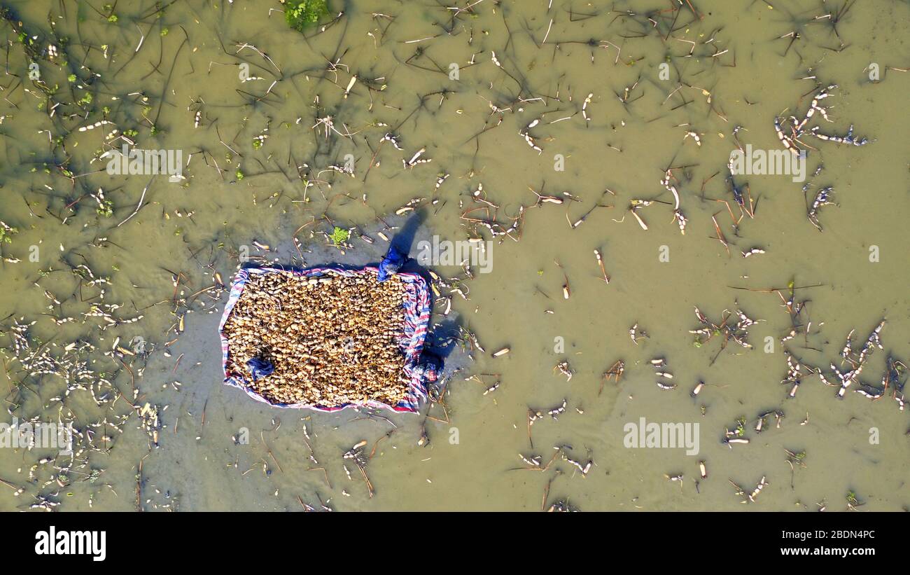Tongling, Tongling, China. 9th Apr, 2020. 4Ã¦Å“Ë†8Ã Credit: SIPA Asia/ZUMA Wire/Alamy Live News ...