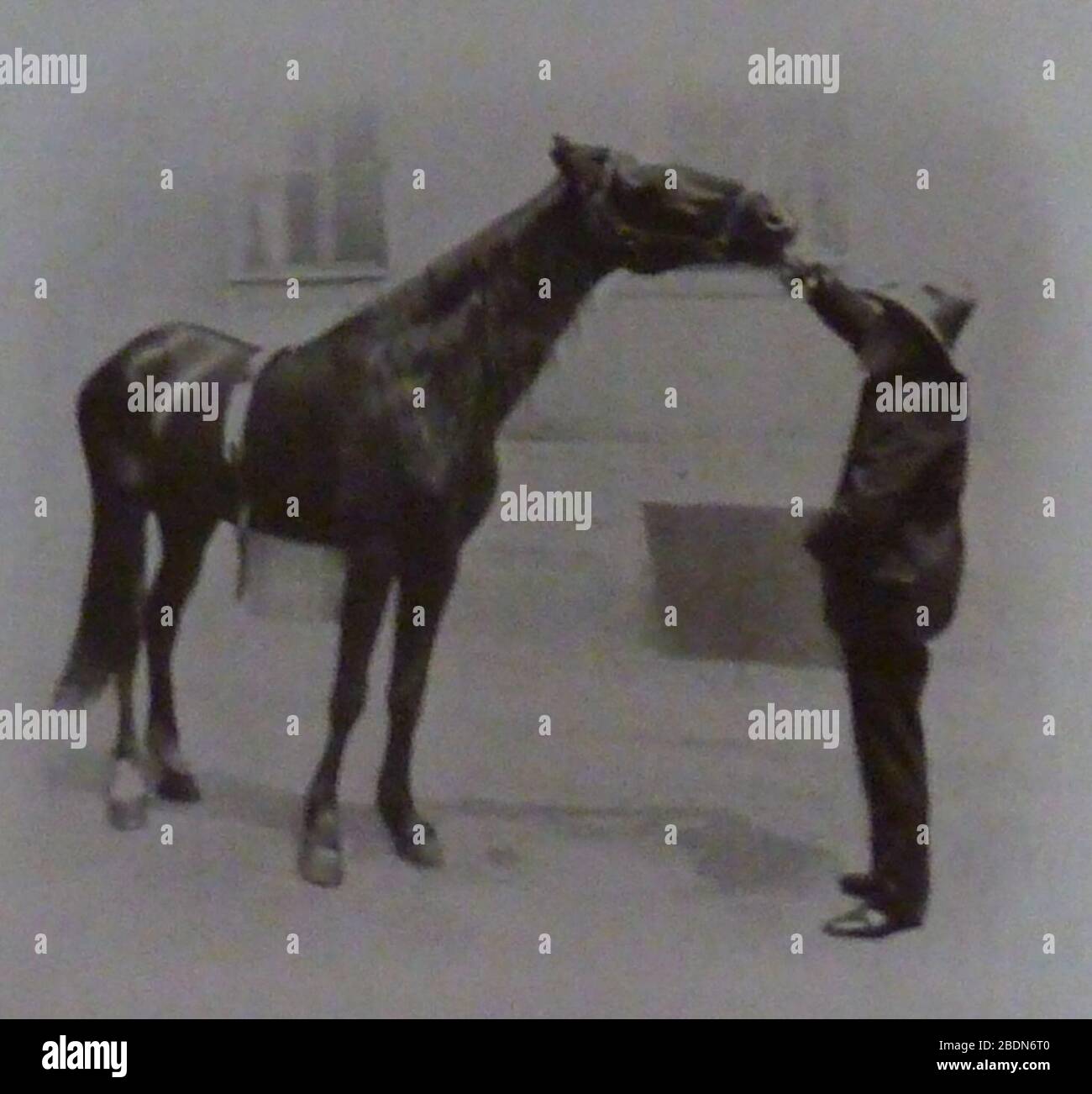 Trinkt bier hi-res stock photography and images - Alamy