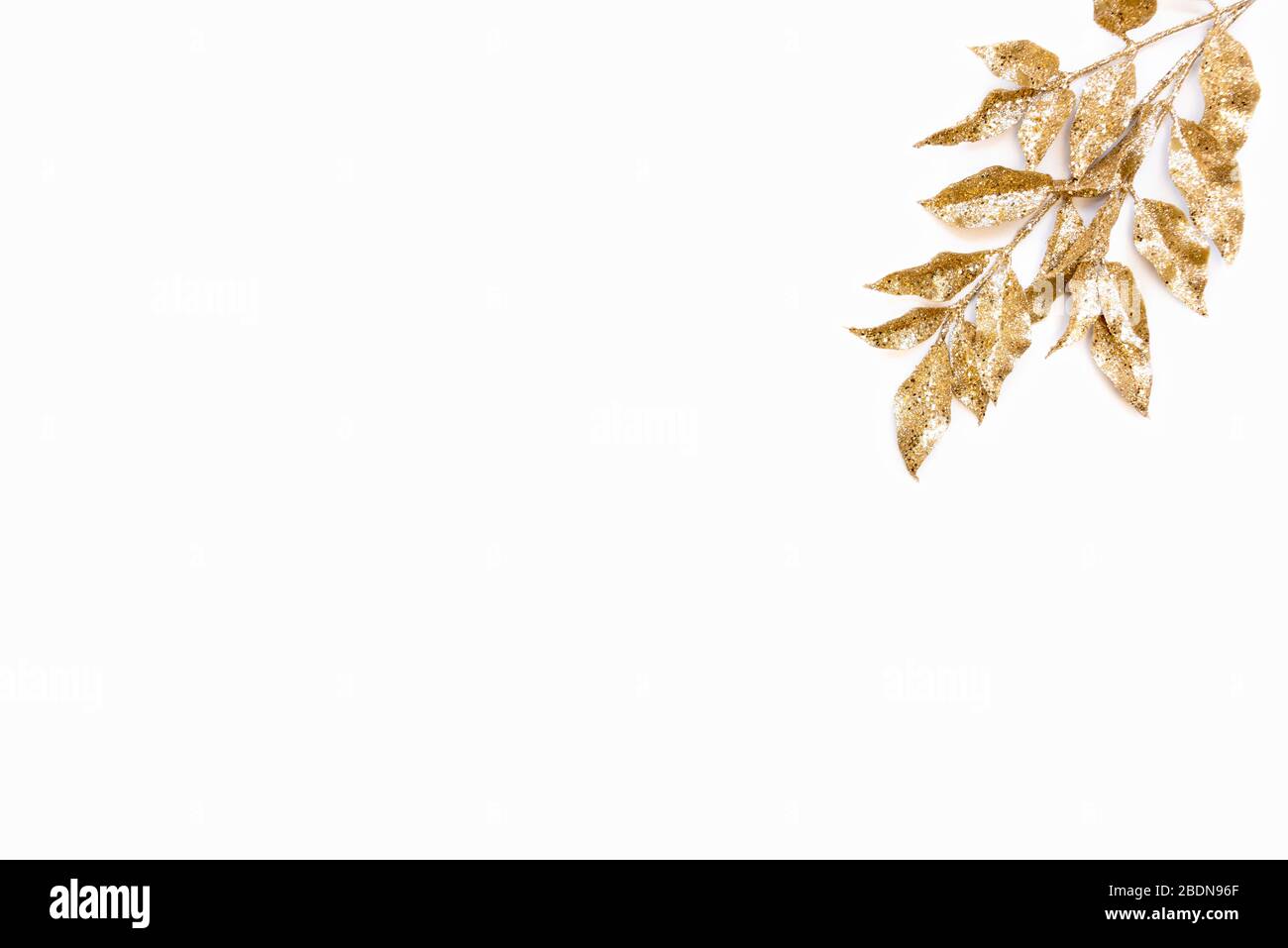 Golden laurel leaf over white background. Copy space Stock Photo - Alamy