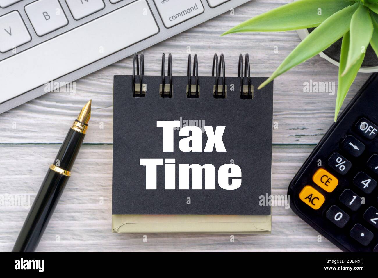 TAX TIME text with decorative flower, calculator, fountain pen ...