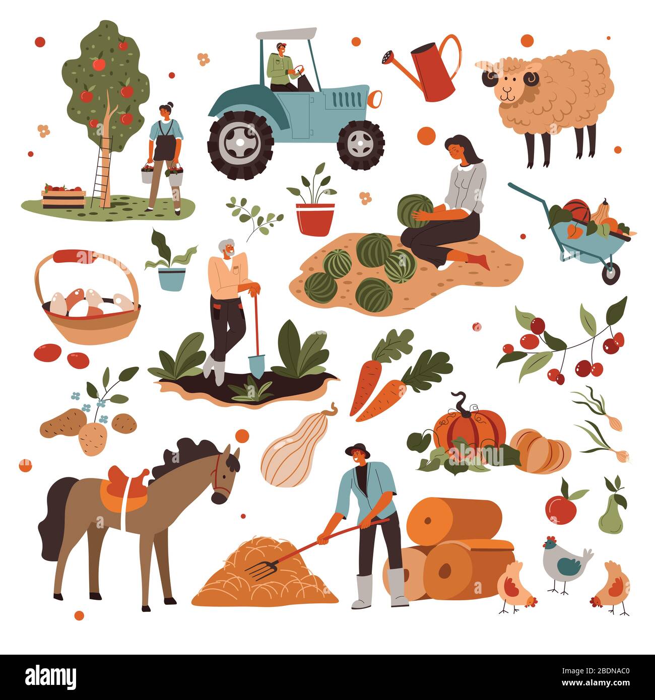 Caring for horse Stock Vector Images - Alamy