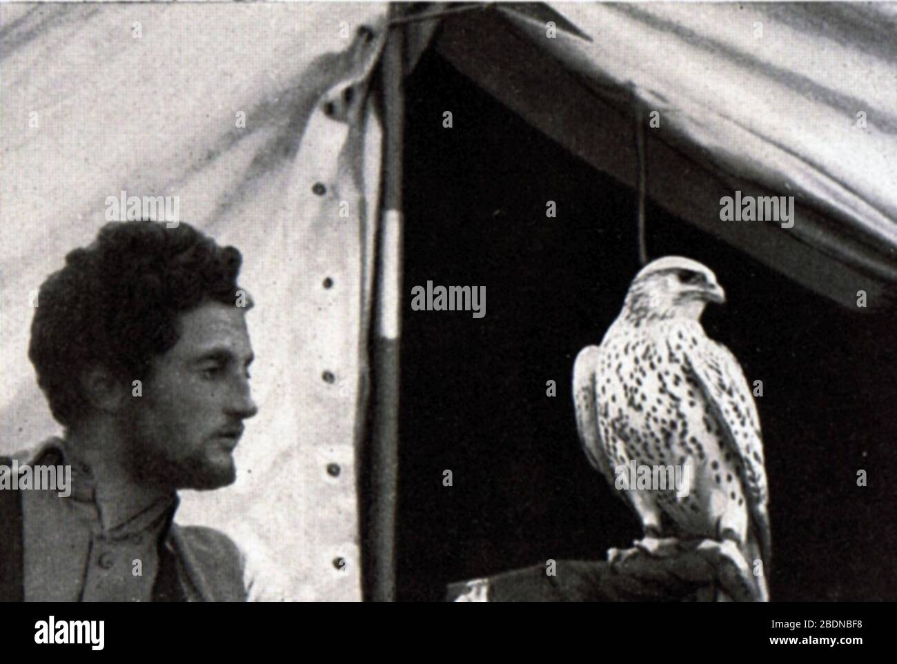 Hans-Robert Knoespel 1938 Stock Photo - Alamy