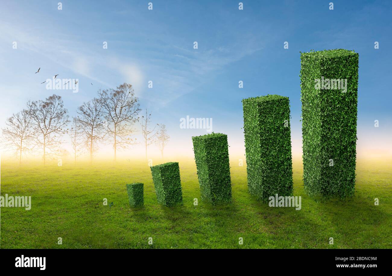 Bar chart increasing, made by green bushes shaped on branch tree and a ...