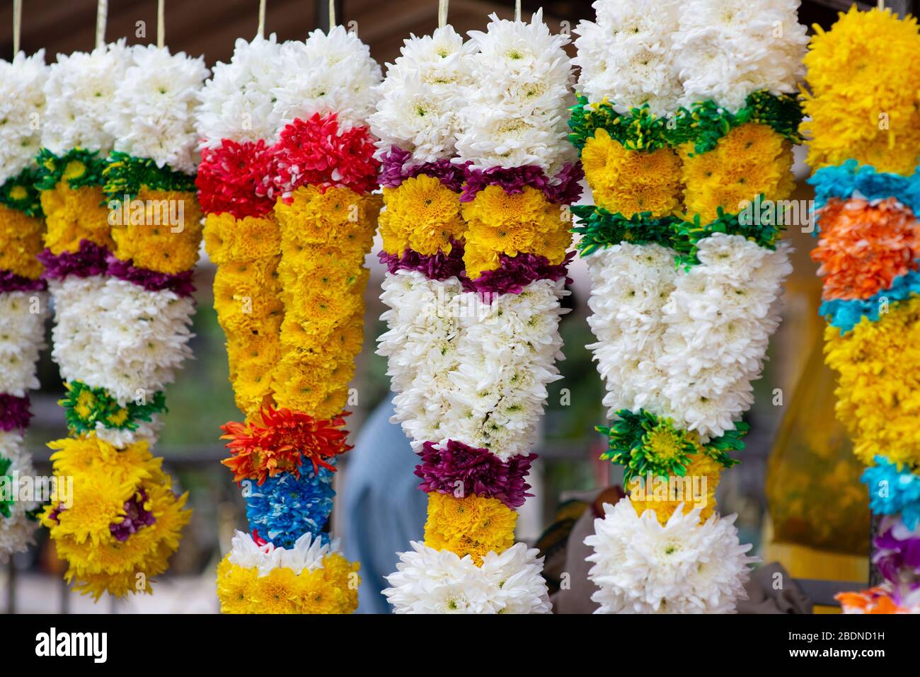 Indian colorful flower garlands for sales during diwali festival Stock ...