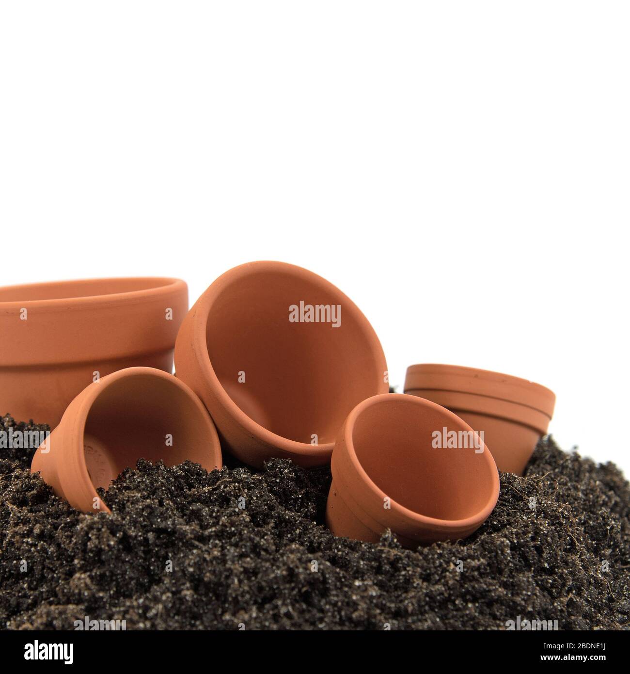 Potting soil hi-res stock photography and images - Alamy