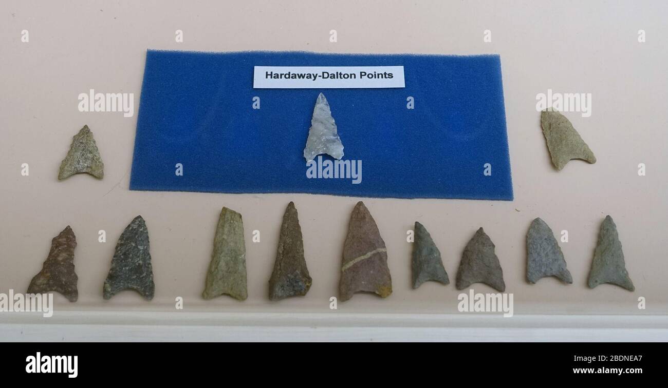 Hardaway-Dalton points - Early Archaic collection Stock Photo - Alamy
