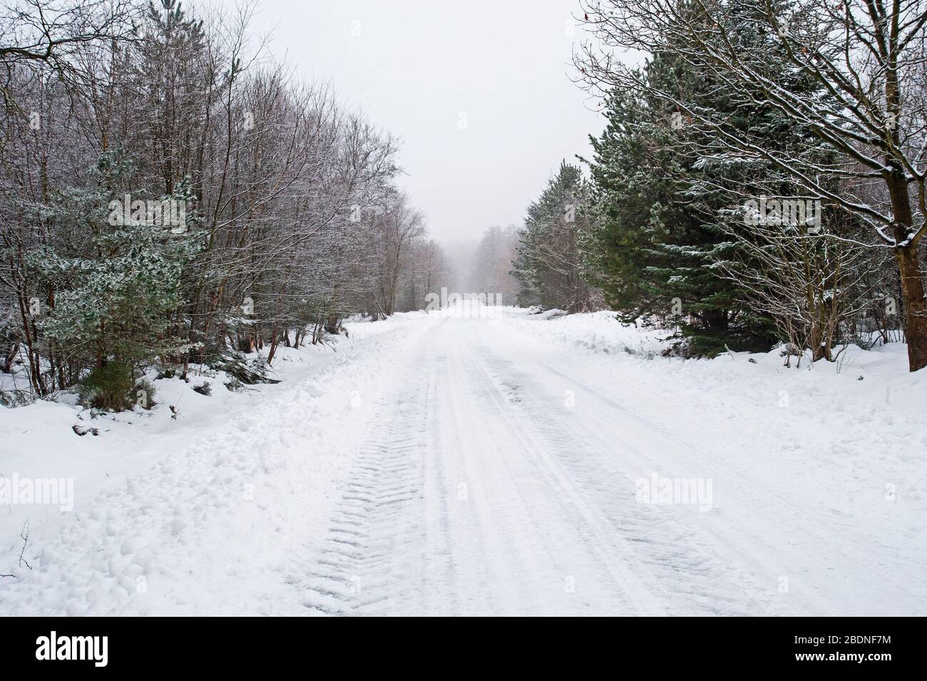 Snow covered remote country lane road going into the distance through ...