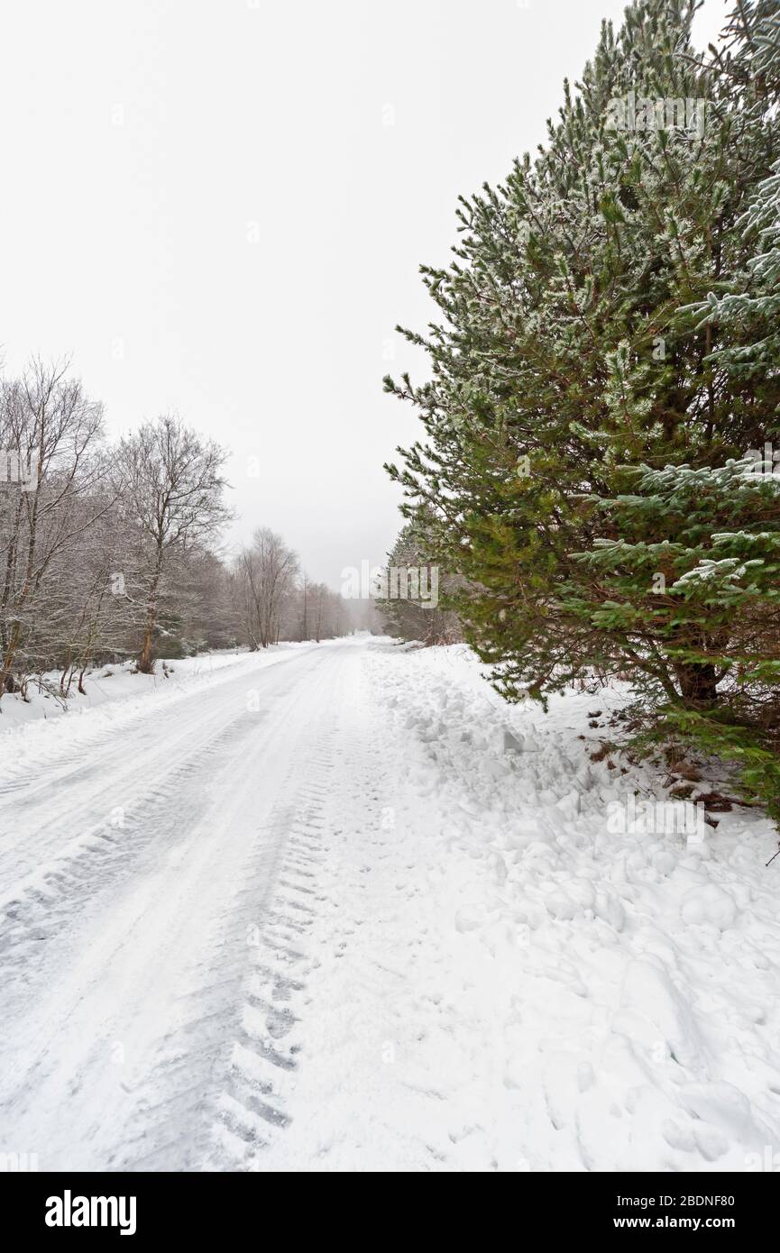 Snow covered remote country lane road going into the distance through ...