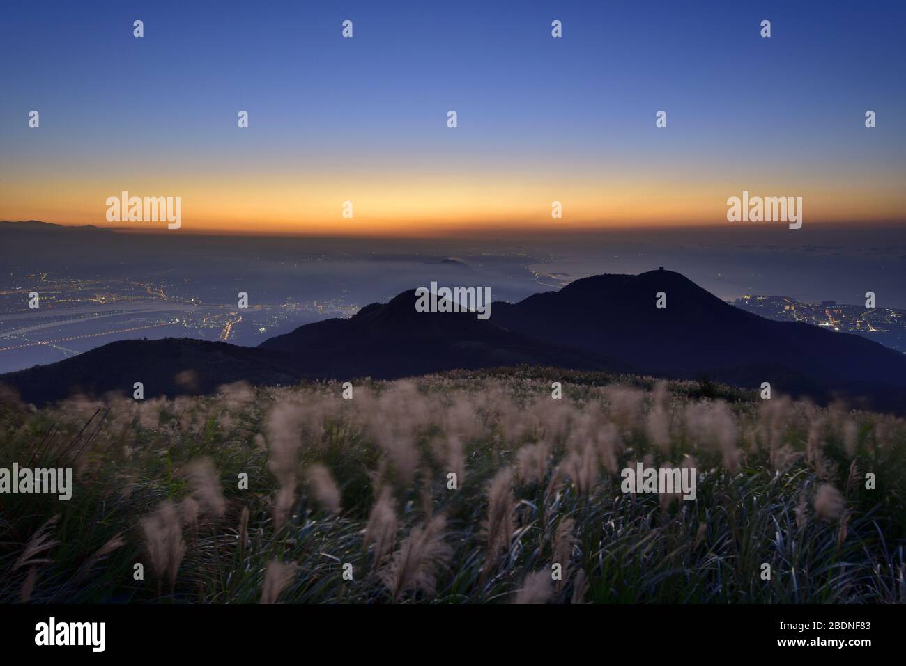 Chinese Silver Grass hill in Taipei Taiwan Stock Photo - Alamy