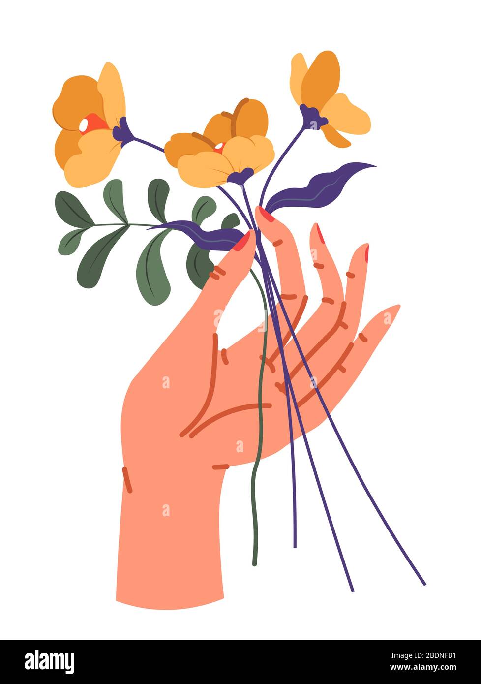Female hand holding flower bouquet in bloom vector Stock Vector Image ...