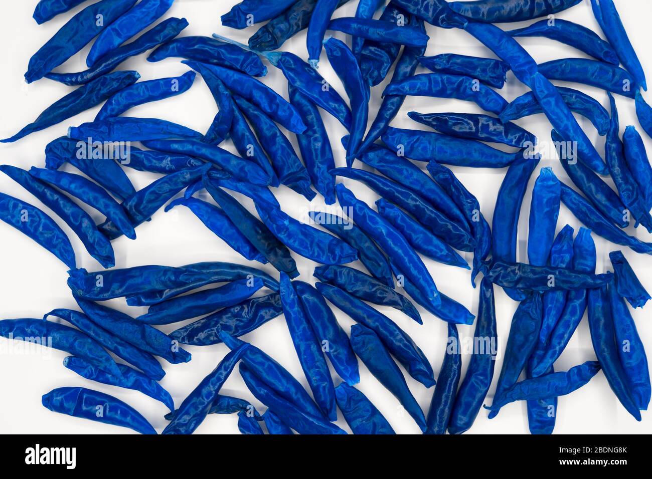 blue chillies isolated on white background Stock Photo - Alamy