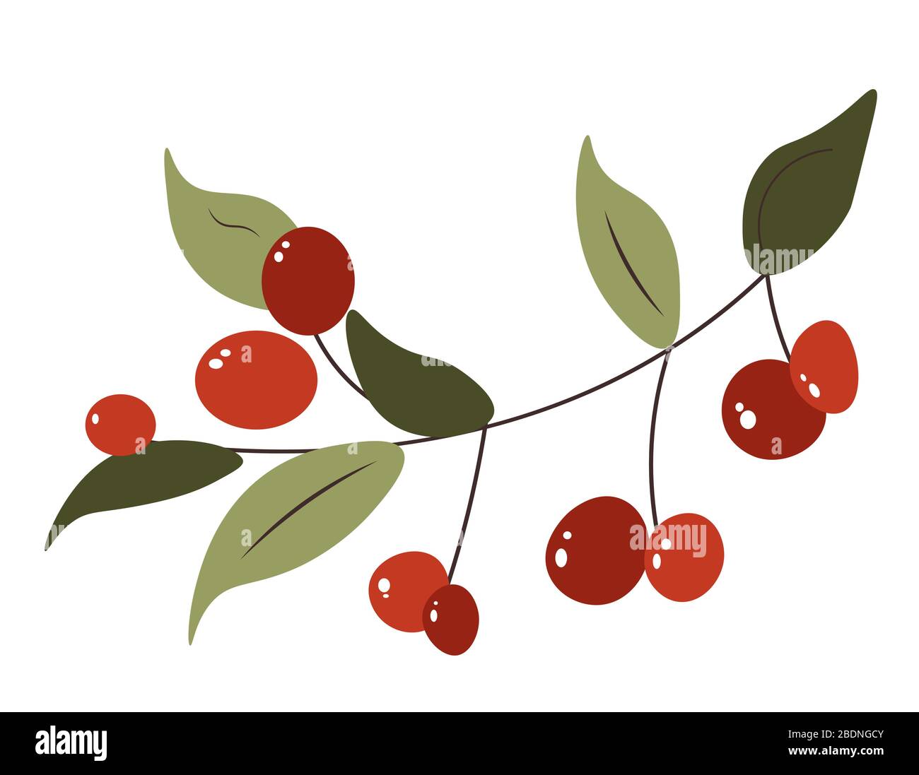 Close up leaves sweet Stock Vector Images - Alamy