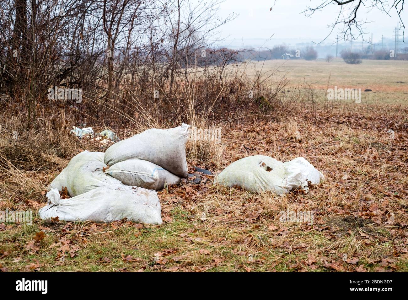 heaps of garbage bags thrown out in the woods Stock Photo - Alamy