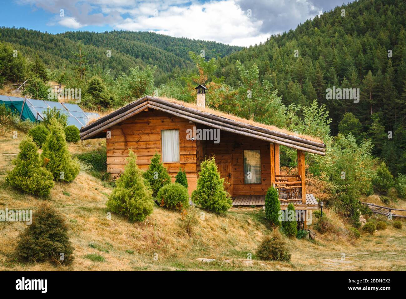 Small alpine style house in the forest Stock Photo - Alamy