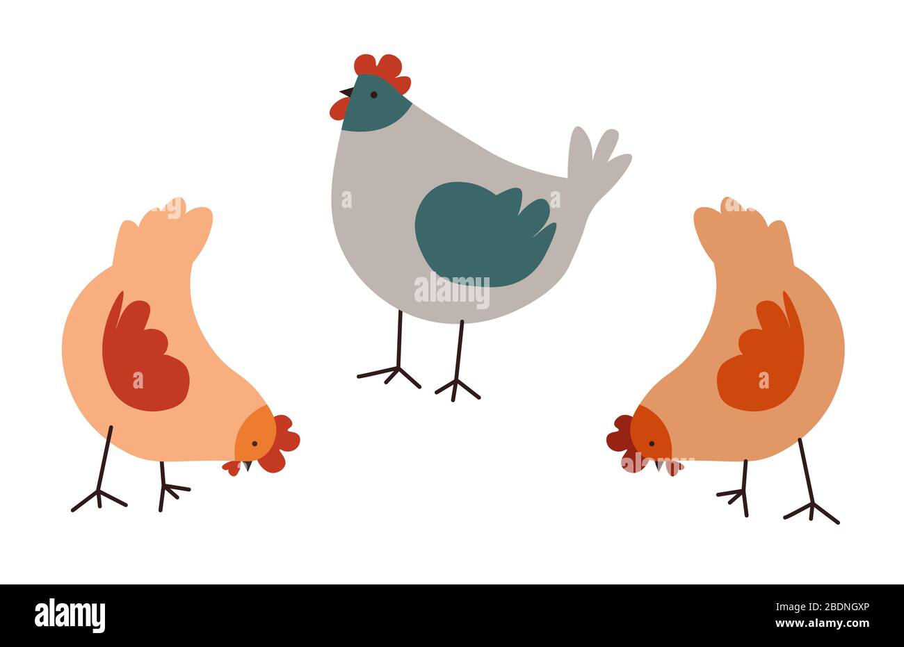 Farm chickens eating food, hen and rooster vector Stock Vector Image ...