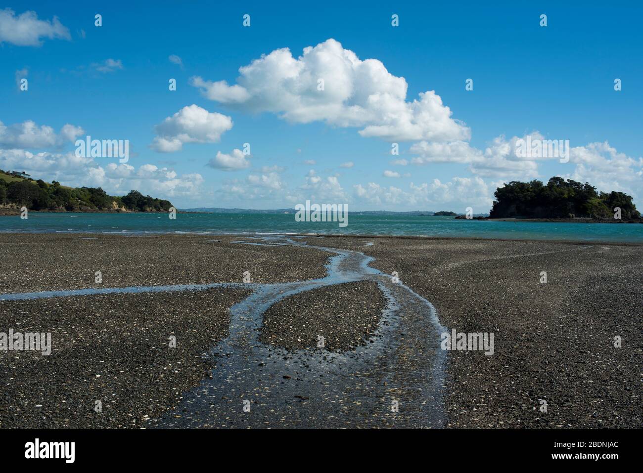 Auckland, New Zealand. Low tide on Waiheke Island Stock Photo - Alamy