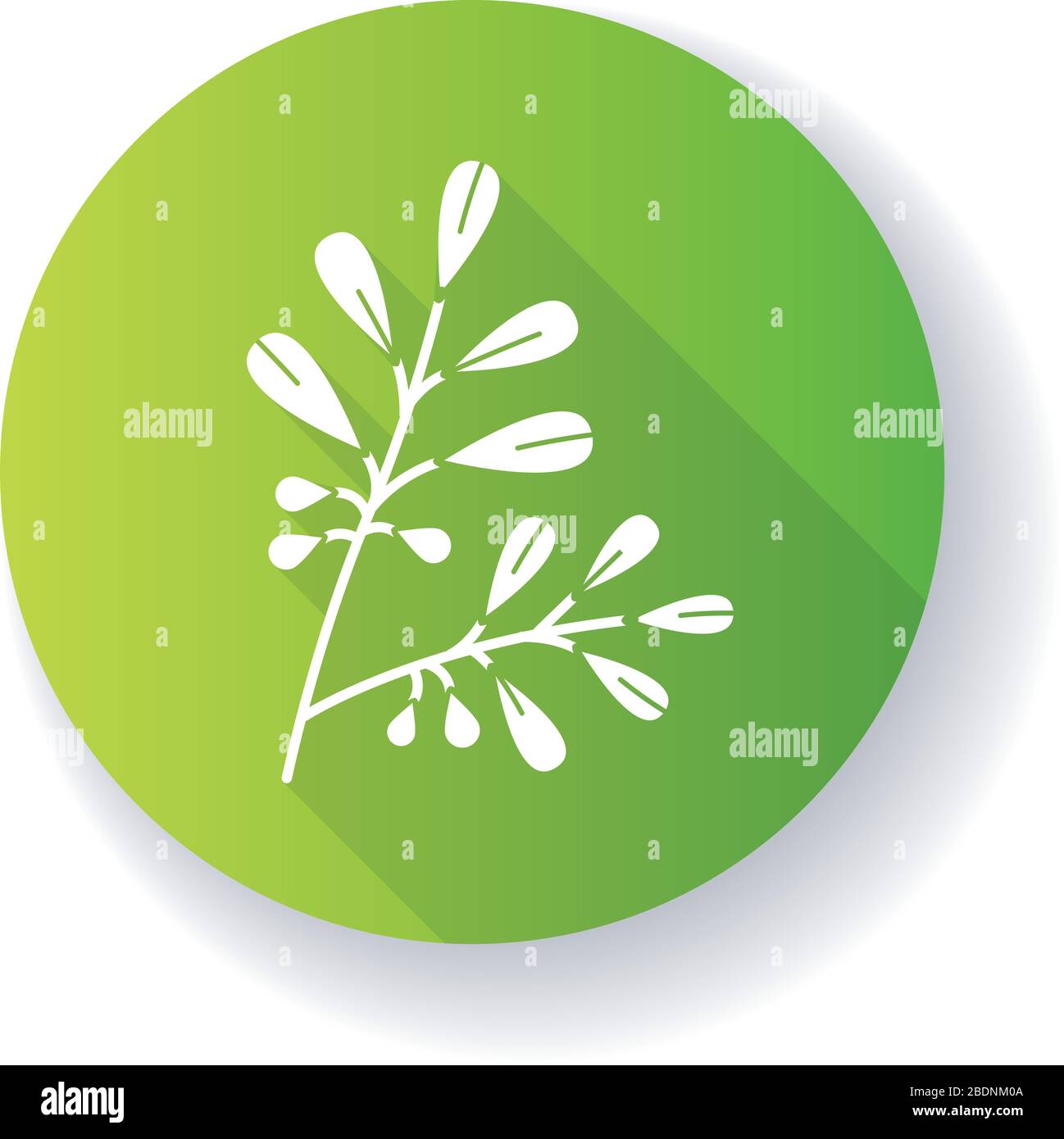 Coca green flat design long shadow glyph icon. Branche of cocaine tree ...