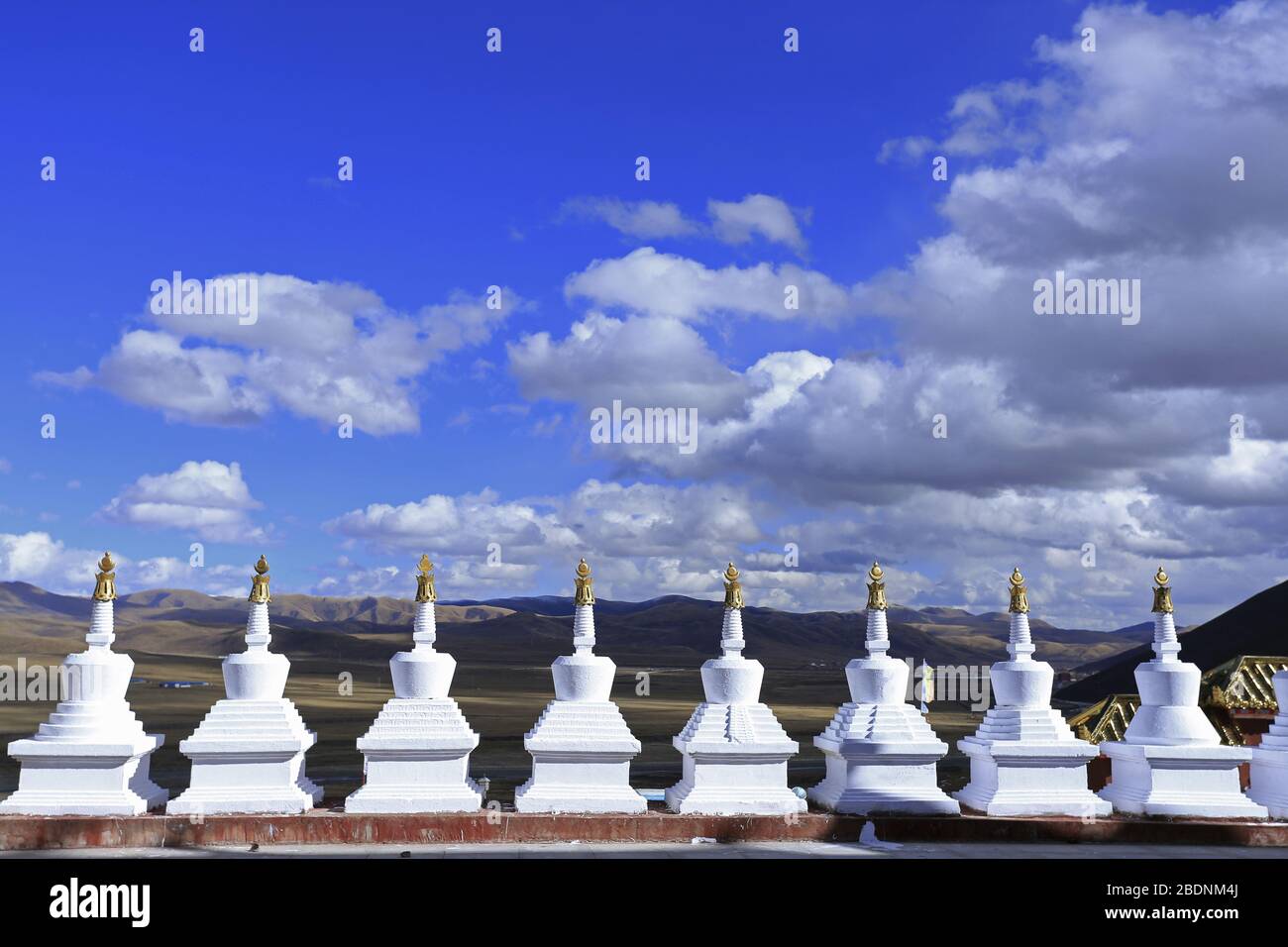 Dongga Monastery in Sichuan province China Stock Photo - Alamy