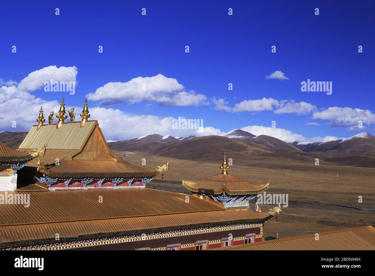 Dongga Monastery in Sichuan province China Stock Photo - Alamy