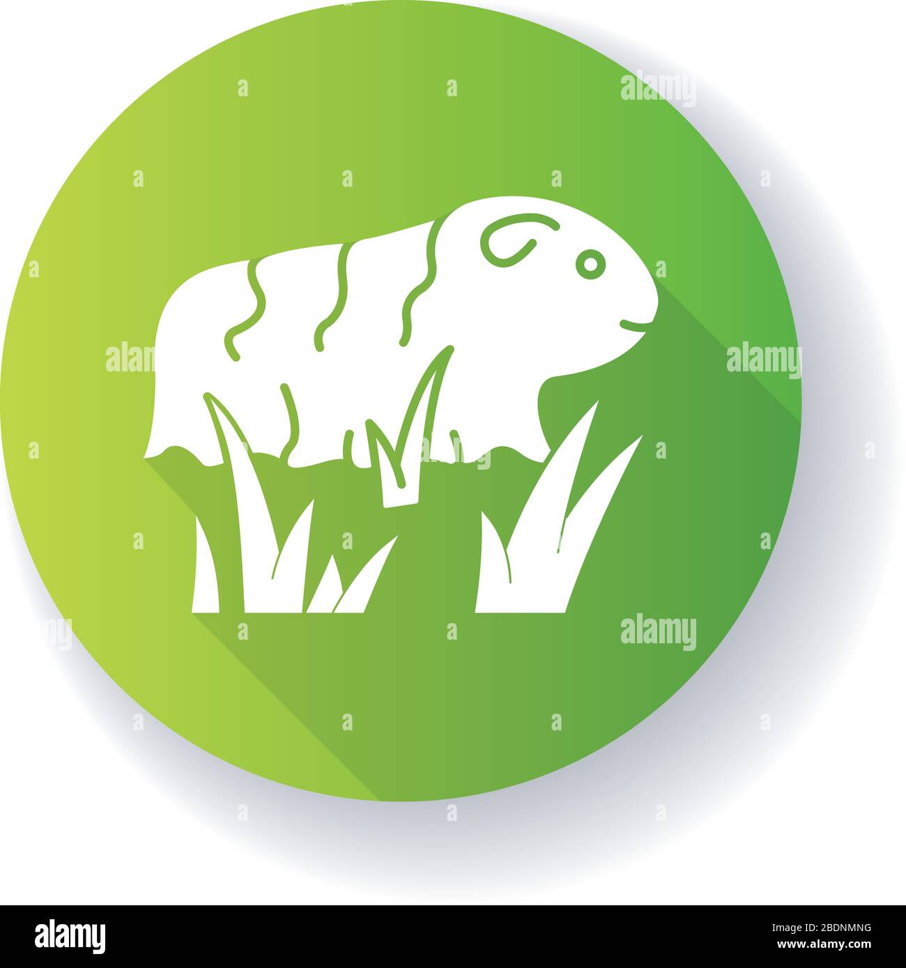 Guinea pig in grass Stock Vector Images - Alamy