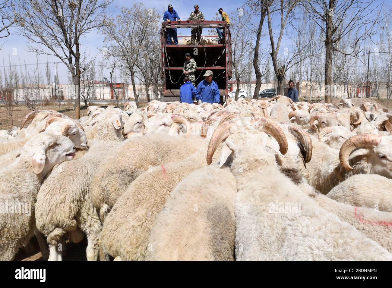 People living in harsh conditions hi-res stock photography and images ...
