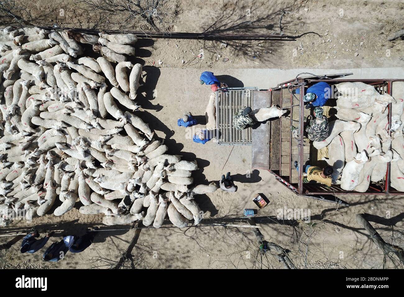 Harsh Living Conditions High Resolution Stock Photography and Images ...