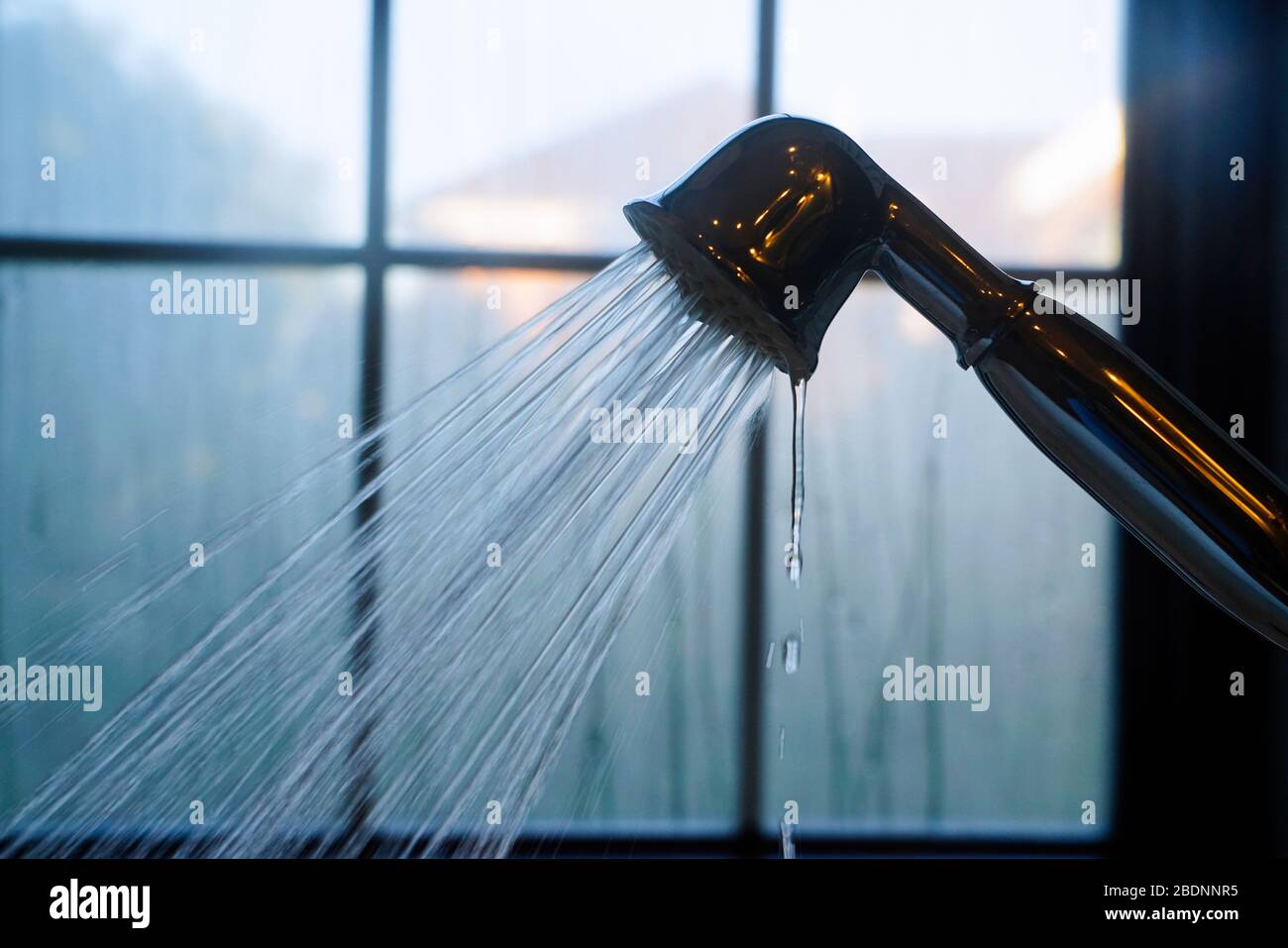The bathroom shower Stock Photo - Alamy