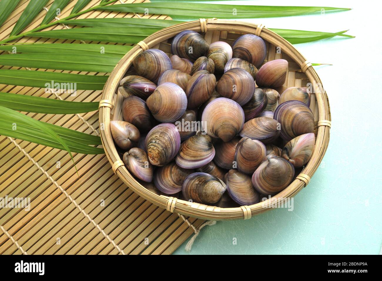Studio shot seafood portrait hi-res stock photography and images - Alamy