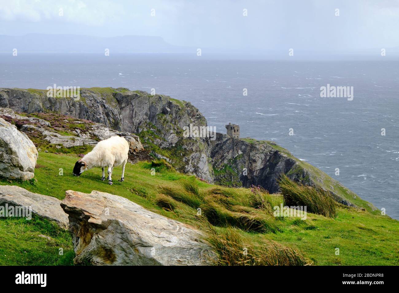 Bunglass hi-res stock photography and images - Alamy