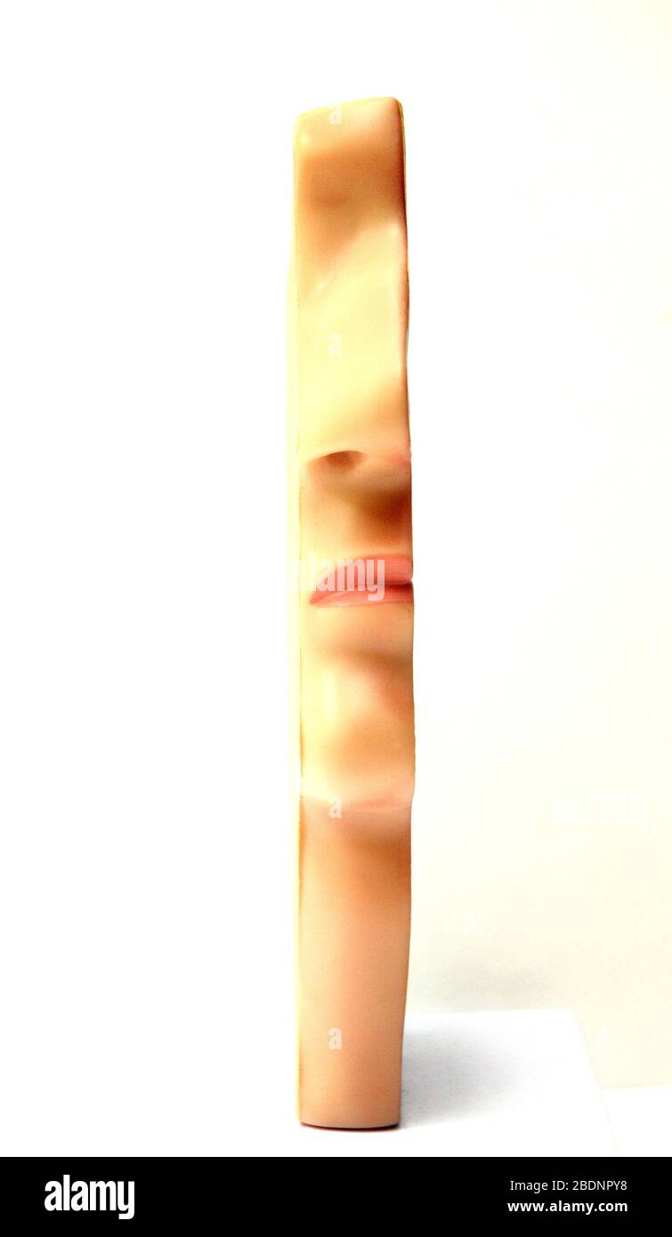 cut face, face laminate Stock Photo - Alamy