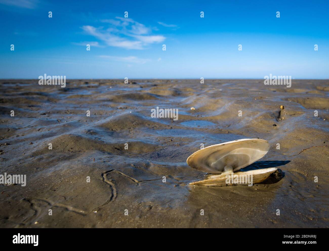 Maritime landscape with reflection of clouds in low tide water ...