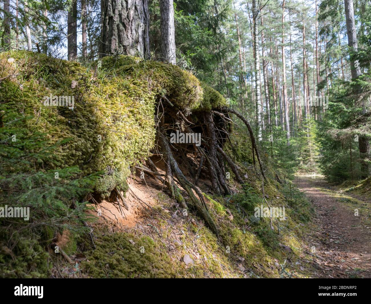 Simple road hi-res stock photography and images - Alamy