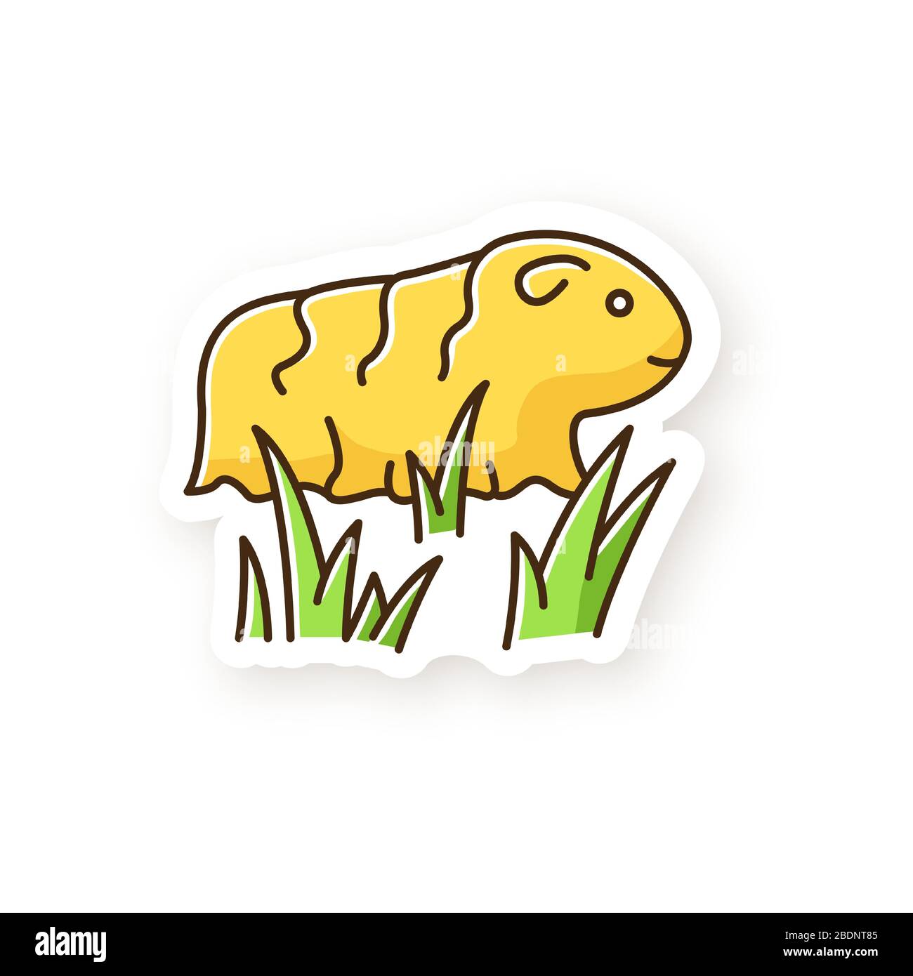Peruvian guinea pig Stock Vector Images - Alamy