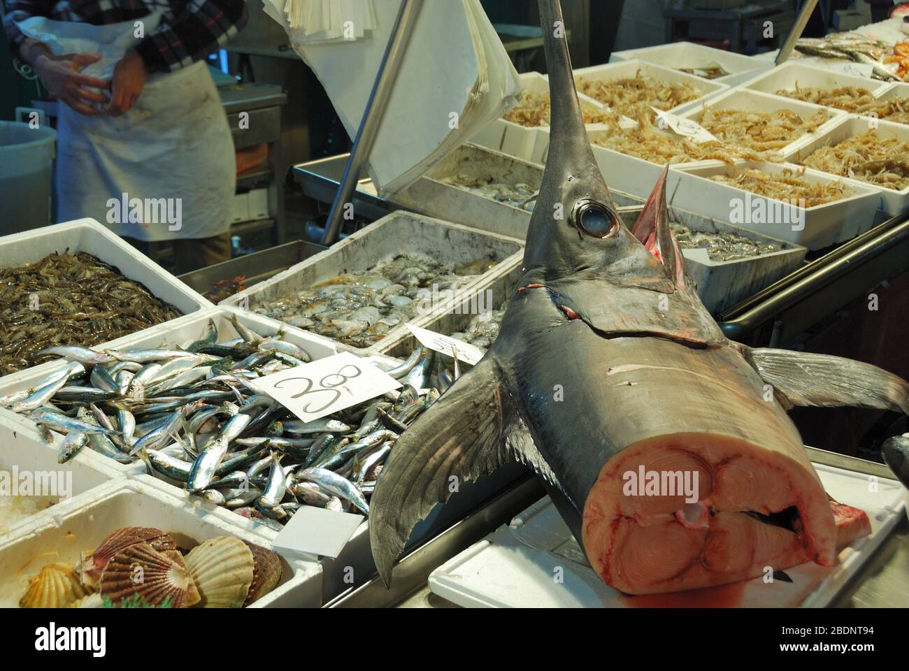 Marlin and other Fresh fishes and crustaceans at fish market stall ...