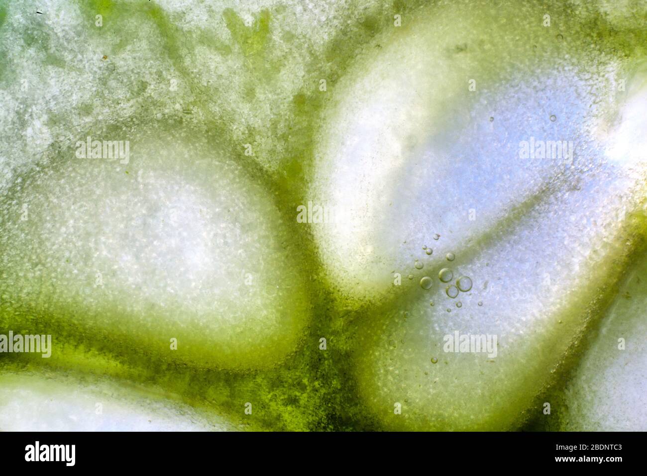 Organic background concept. Creative, colorful macro image of cucumber ...