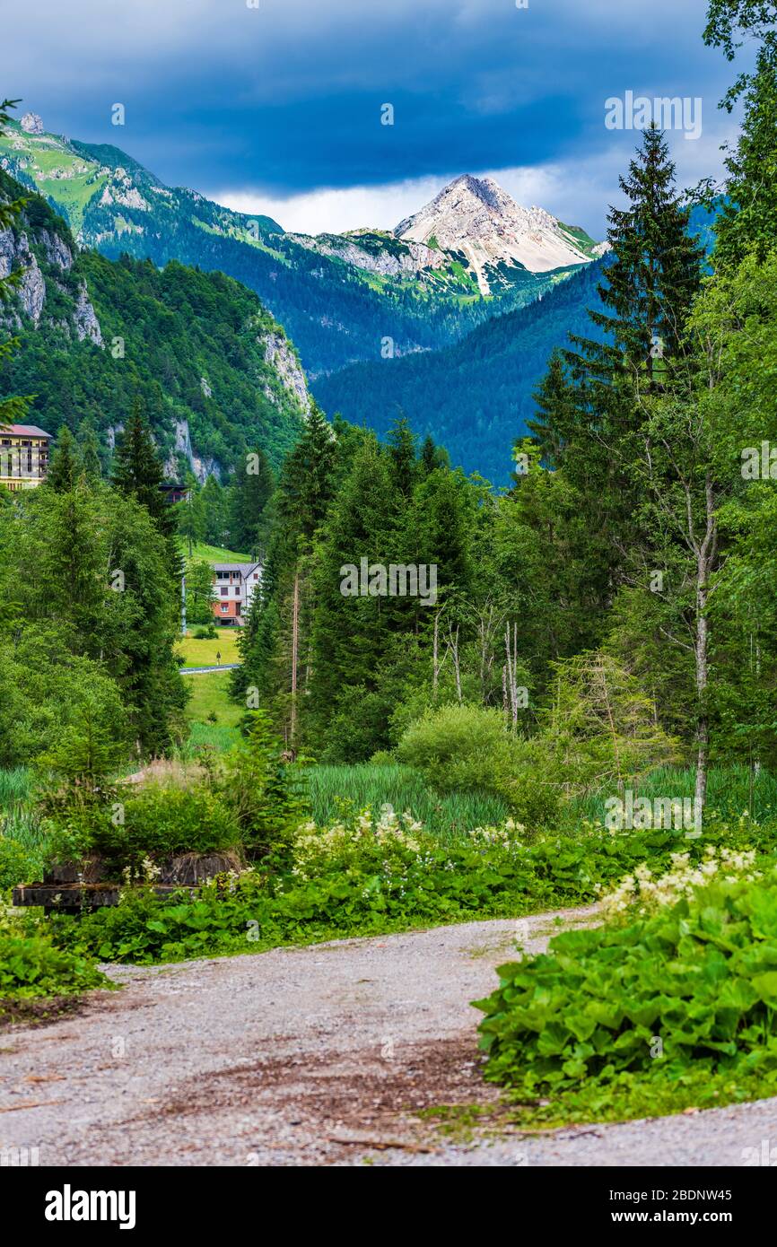 Woods and mountains of Carnia. Carnic Alps in Forni Avoltri. Italy ...
