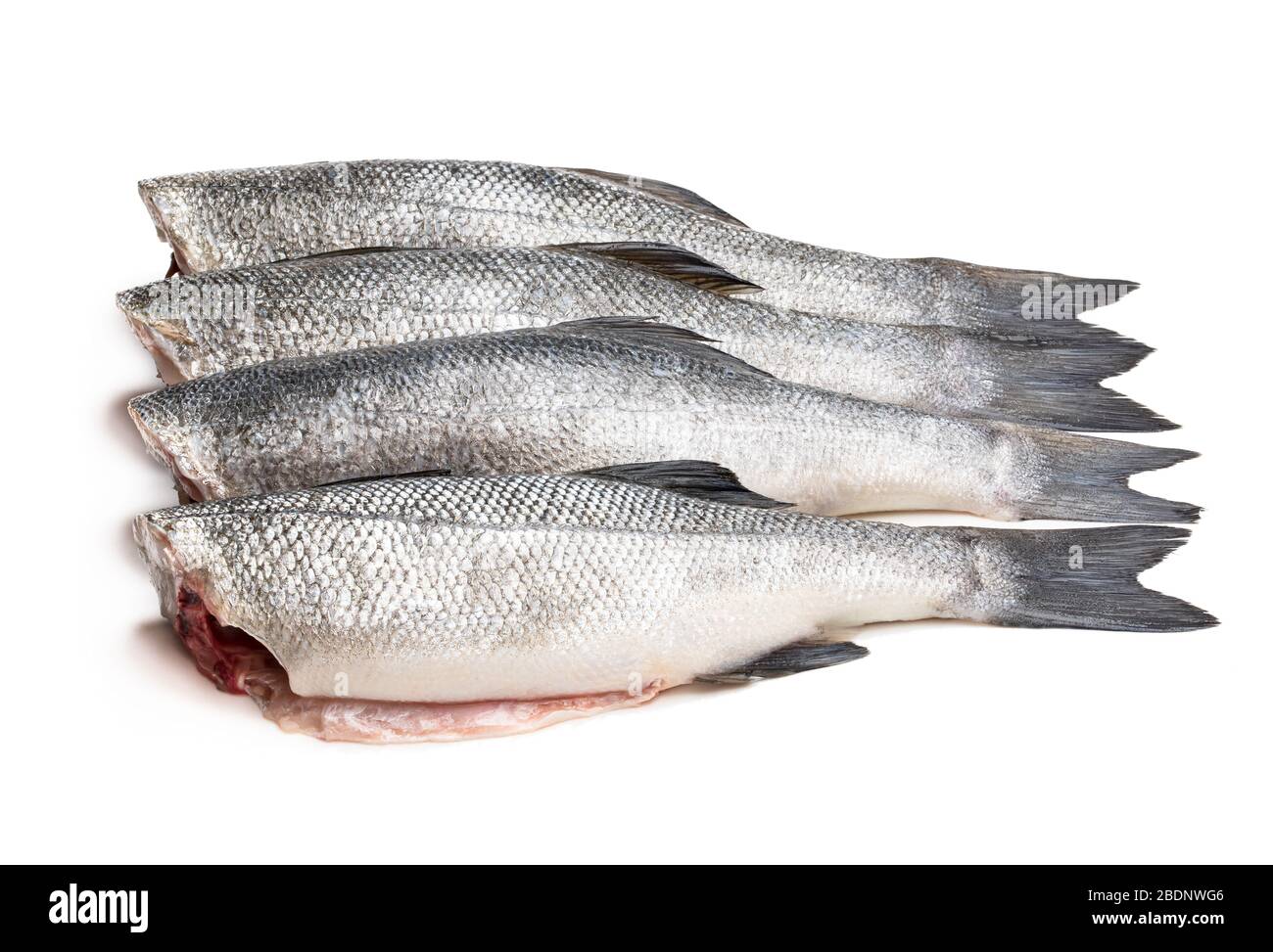 Headless Bass High Resolution Stock Photography and Images - Alamy