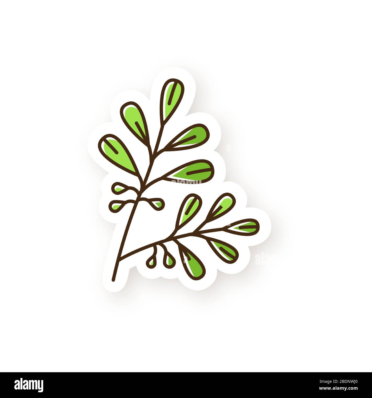 Cocaine plant hi-res stock photography and images - Alamy