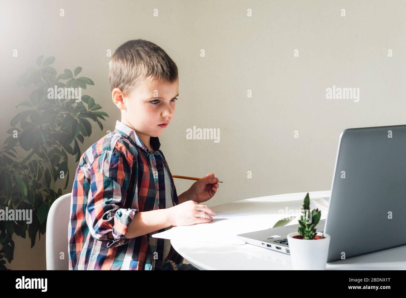Boy studying at home with notebook and doing school homework. Distance ...