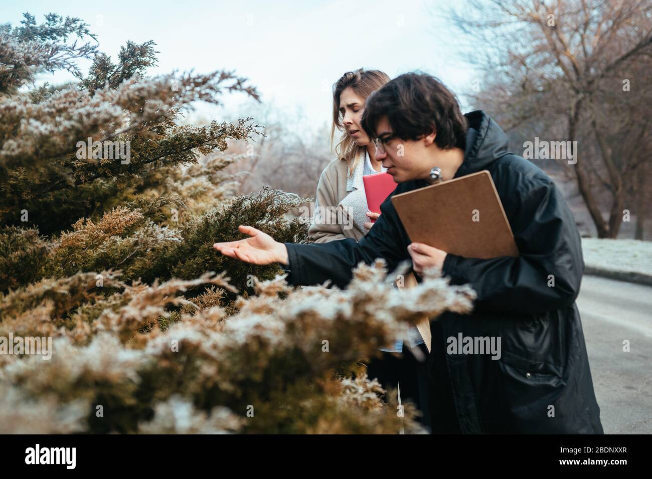 Scientists are studying plant species in the forest Stock Photo - Alamy