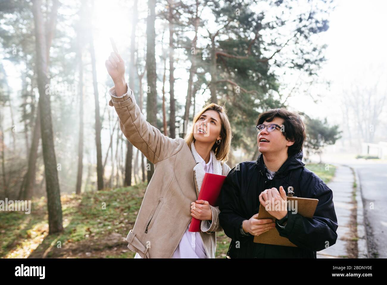 Scientists are studying plant species and inspect trees in the forest ...
