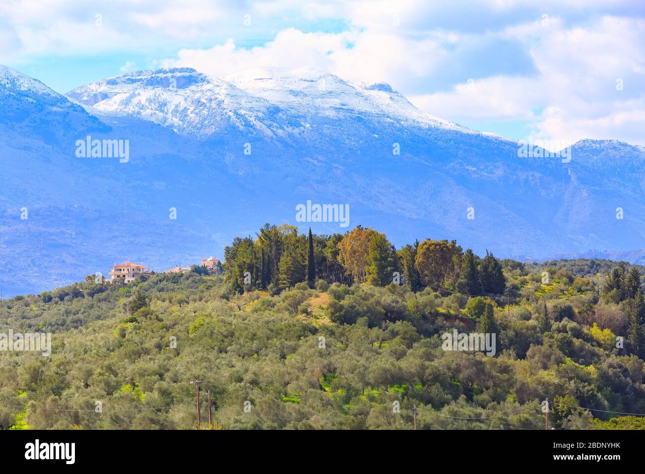 Olive Trees Greece High Resolution Stock Photography and Images - Alamy