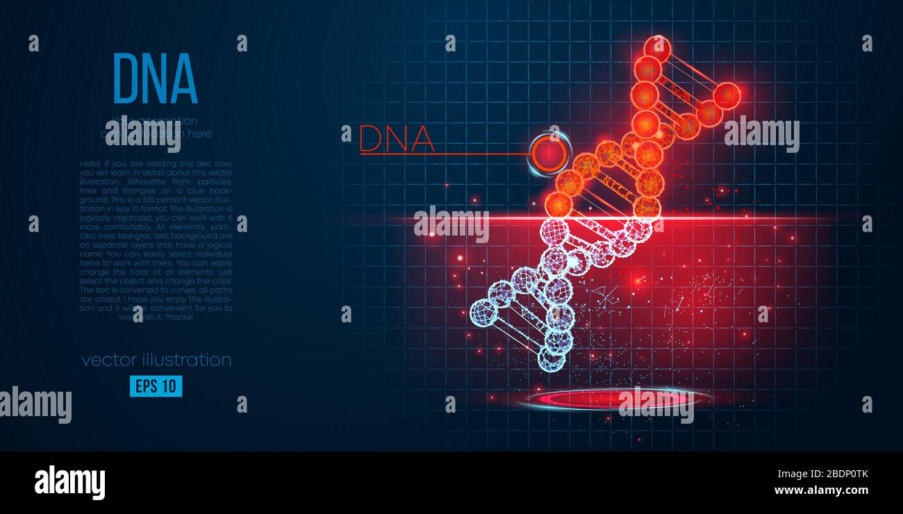 Abstract silhouette of the polygonal dna. Scanning, research and ...