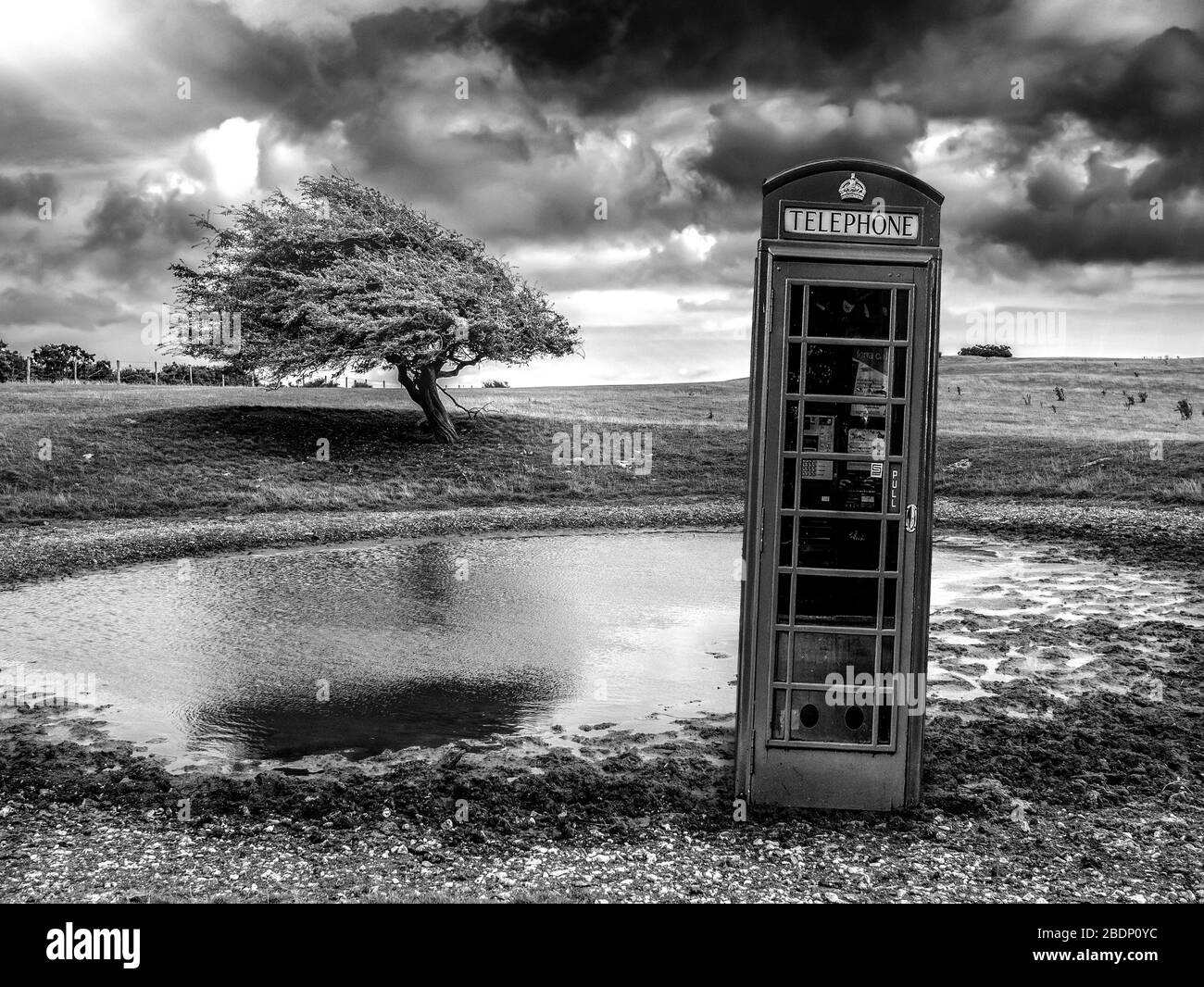 Landscape in Black and white with tree in the background and Telephone ...