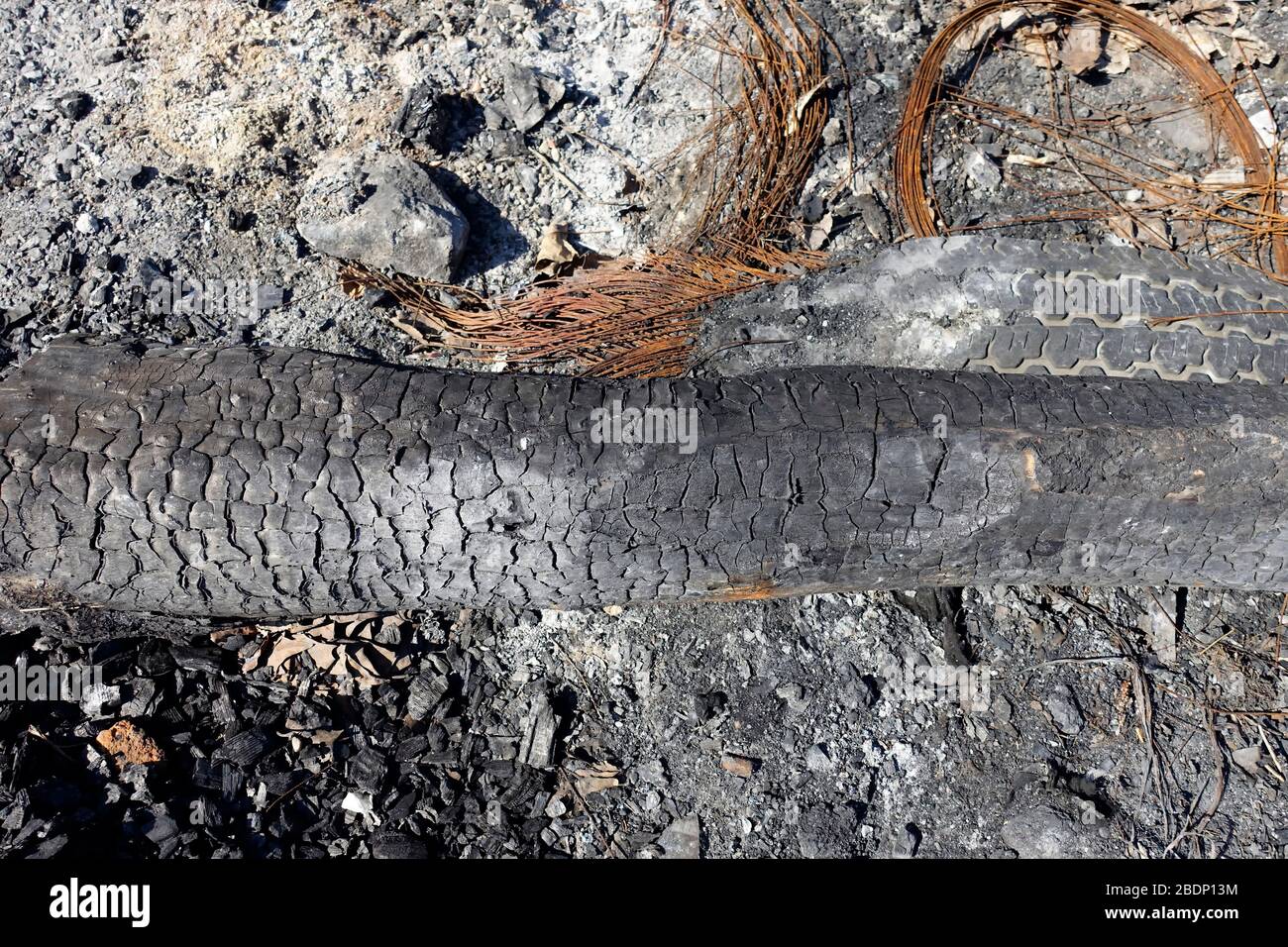 Extinguished forest fire Stock Photo - Alamy