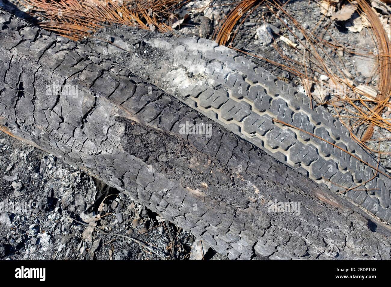 Extinguished forest fire Stock Photo - Alamy