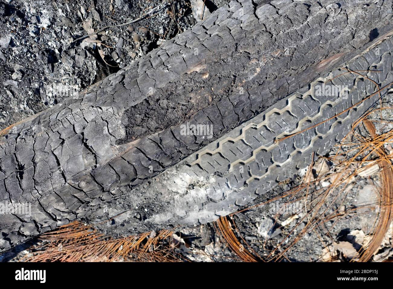 Extinguished forest fire Stock Photo - Alamy